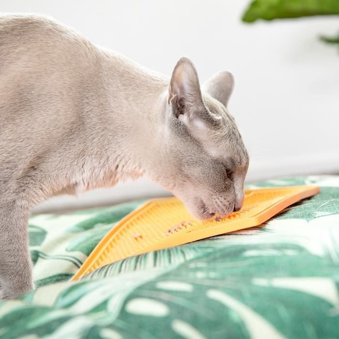 Lickimat for Cats - Classic Soother | Carniraw Ltd