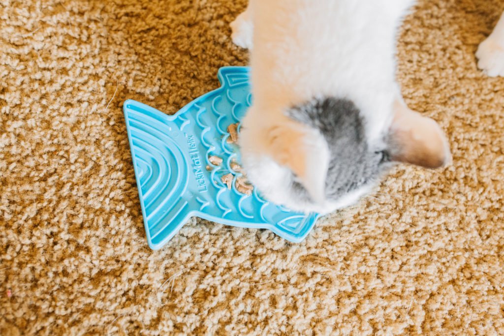 Lickimat for Cats - Classic Felix | Carniraw Ltd